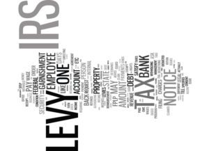 What Property Can the IRS Seize? - Wiztax